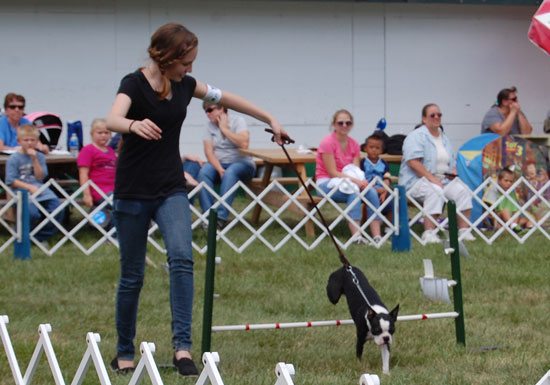 Kenosha County Fair dog show coverage – West of the I