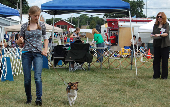Kenosha County Fair dog show coverage – West of the I