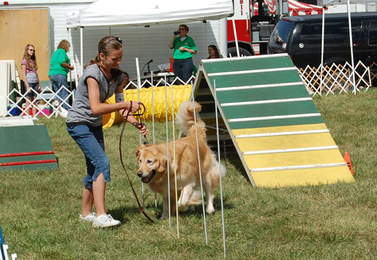 Kenosha County Fair dog show coverage – West of the I