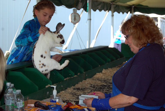 2013 Kenosha County Fair junior fair rabbit show results and photos ...