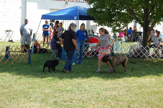 2016 Kenosha County Junior Fair dog show coverage (PHOTOS) – West of the I