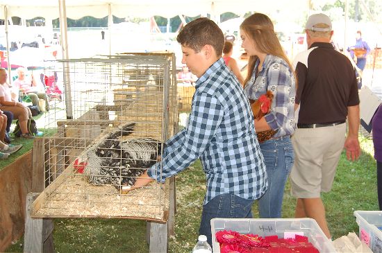 2016 Kenosha County Junior Fair poultry show coverage (PHOTOS) – West ...