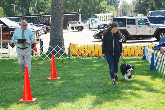 2017 Kenosha County Fair dog show coverage (PHOTOS) – West of the I