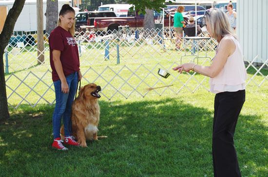 2017 Kenosha County Fair dog show coverage (PHOTOS) – West of the I