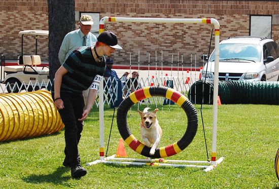 2017 Kenosha County Fair dog show coverage (PHOTOS) – West of the I