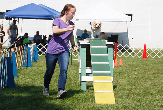 2017 Kenosha County Fair dog show coverage (PHOTOS) – West of the I