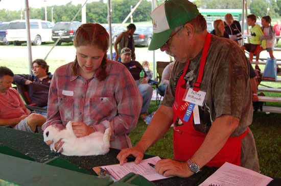 2017 Kenosha County Junior Fair rabbit show coverage (PHOTOS) – West of ...