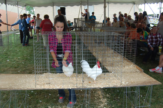 2018 Kenosha County Fair Poultry Show coverage (PHOTOS) – West of the I