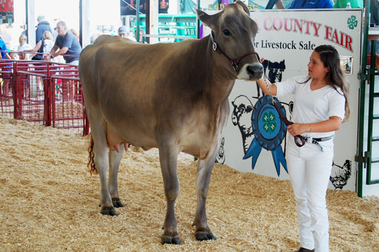 2019 Kenosha County Fair dairy show coverage (PHOTOS) – West of the I