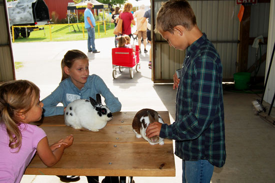 2019 Kenosha County Fair rabbit show coverage – West of the I