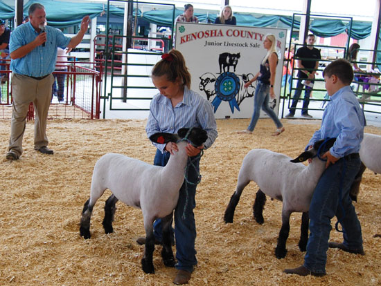 2019 Kenosha County Fair sheep show coverage (PHOTOS) – West of the I
